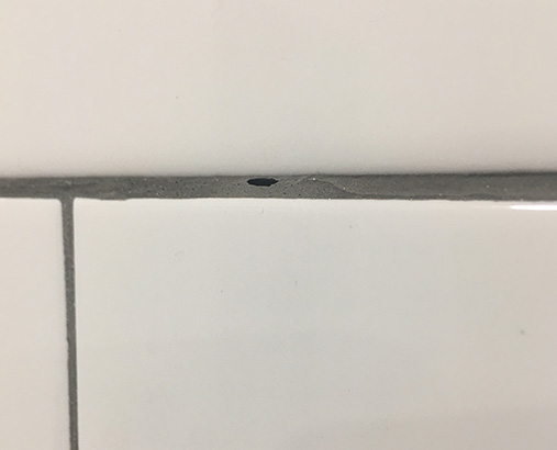 Leaking shower floor? Trademark Tiling can rejuvenate your shower